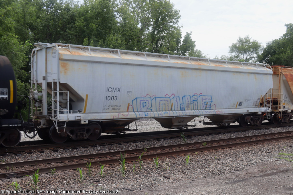 ICMX 1003 - Cargill Dry Corn Ingredients